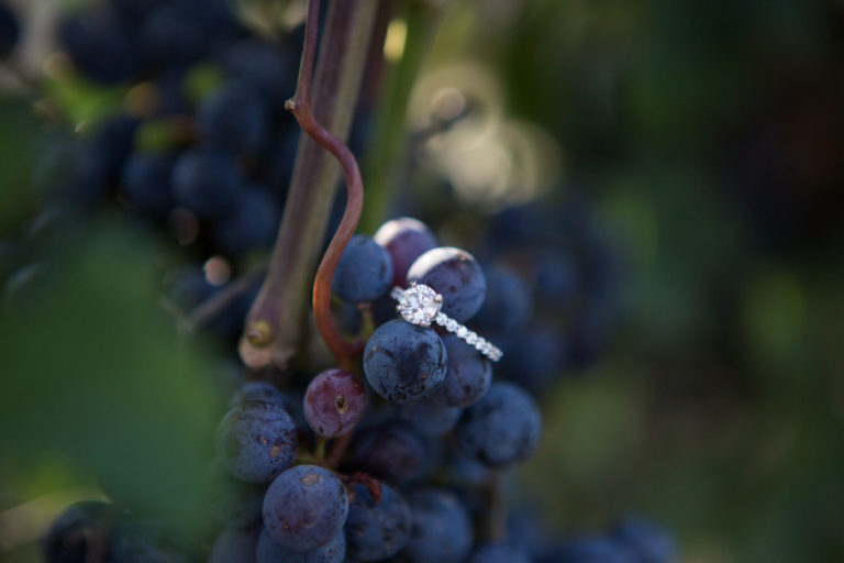 Hauser Estate Winery Engagement Session | Megan & Andy | Maryland ...